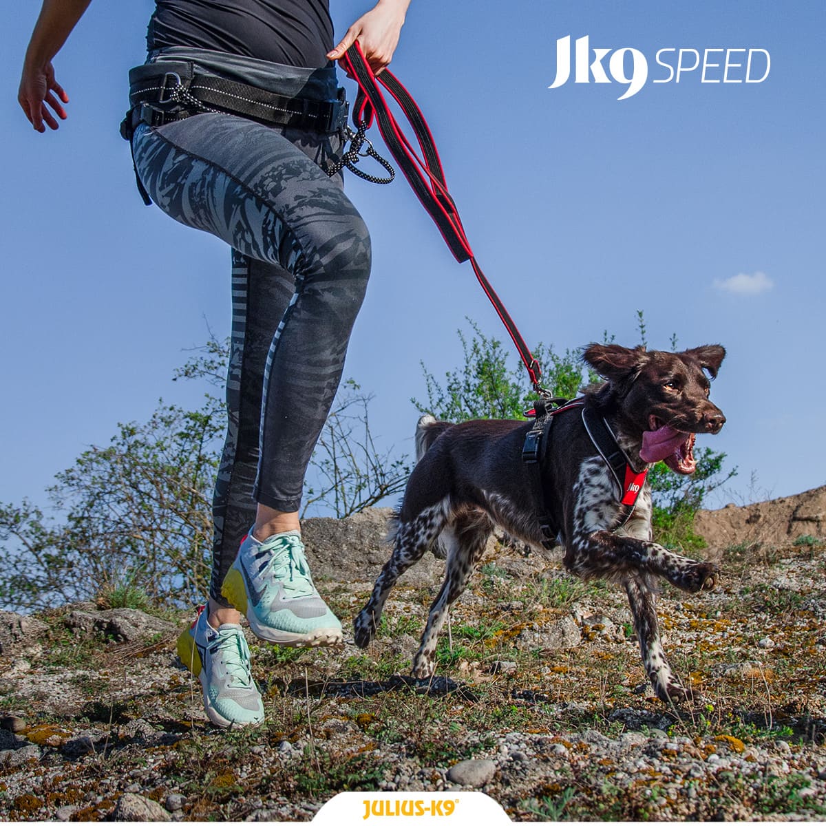 Jogging Set JK9® Speed harness, belt and leash - Julius-K9